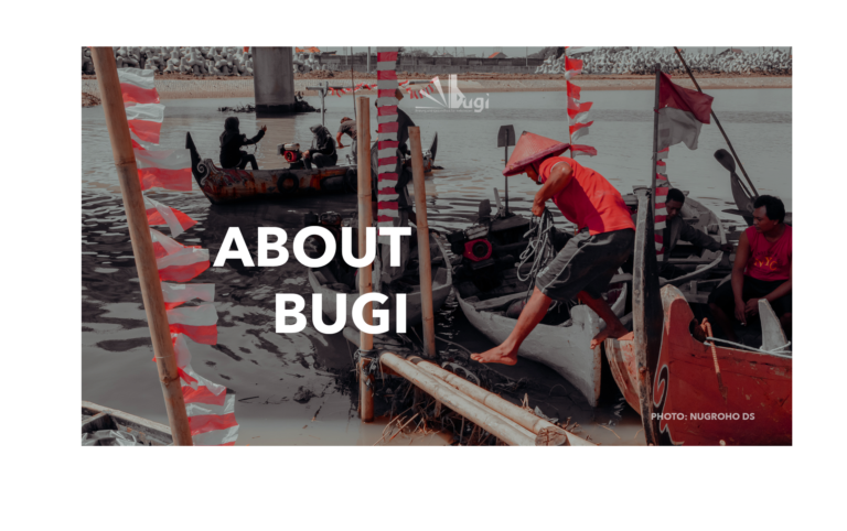 About – BUGI